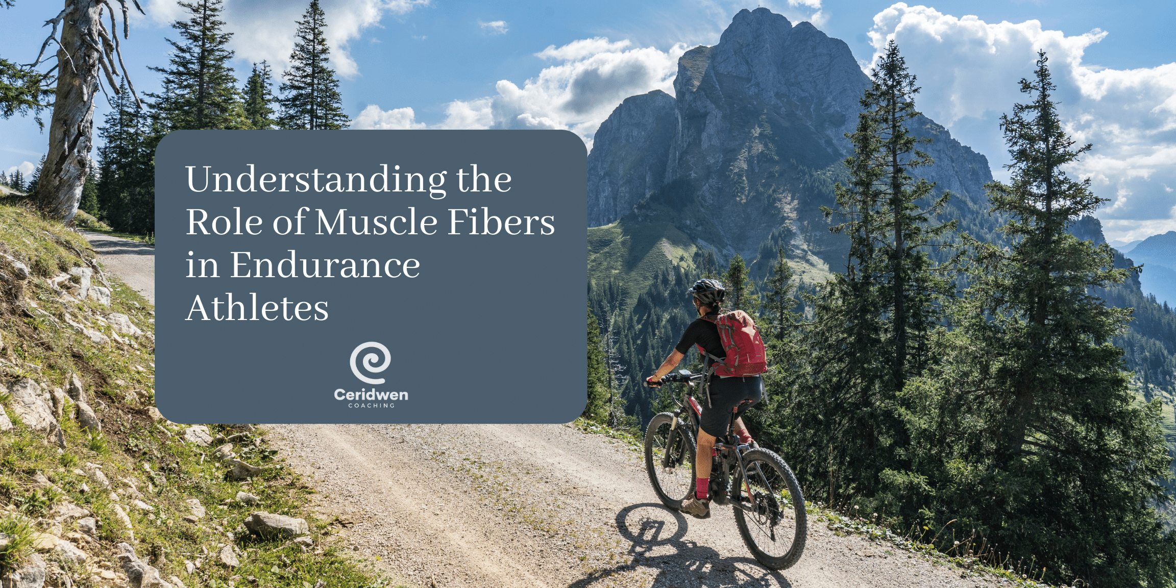 Understanding the Role of Muscle Fibers in Endurance Athletes